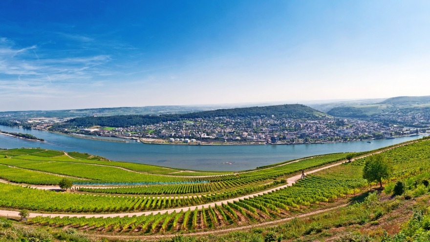 Die 5 besten Wanderwege im Taunus